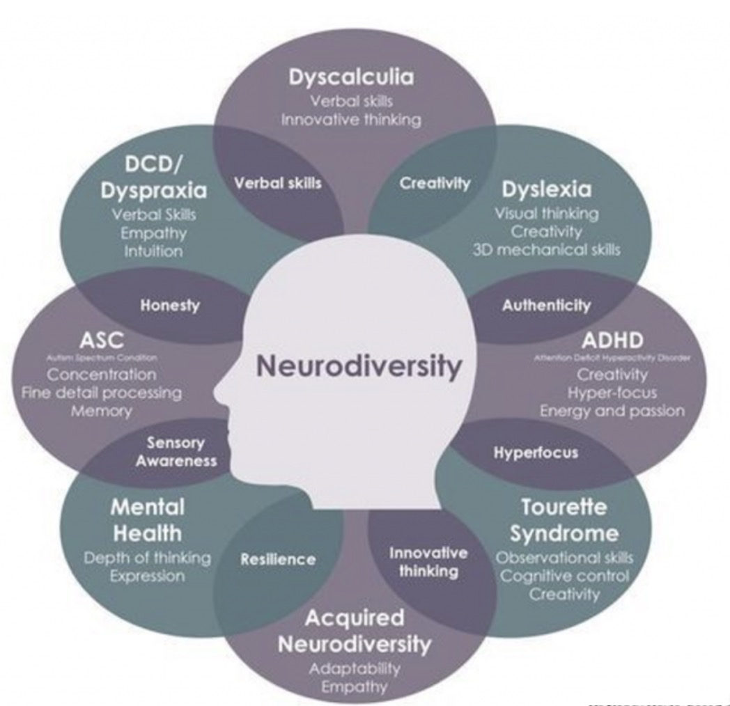 Neurodiversity, Neurodivergence.